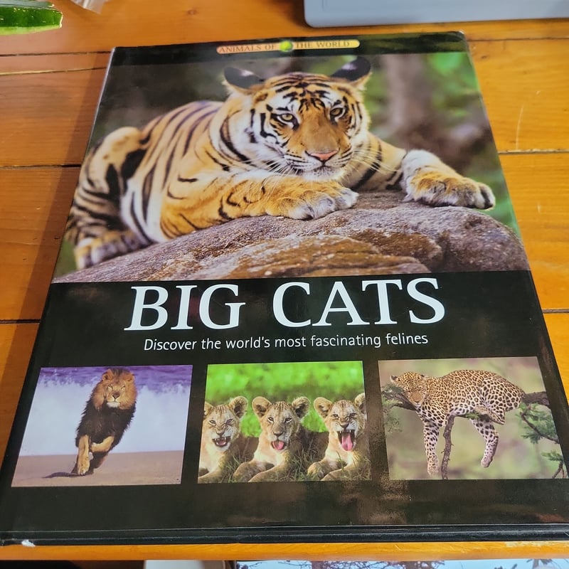 Big cats