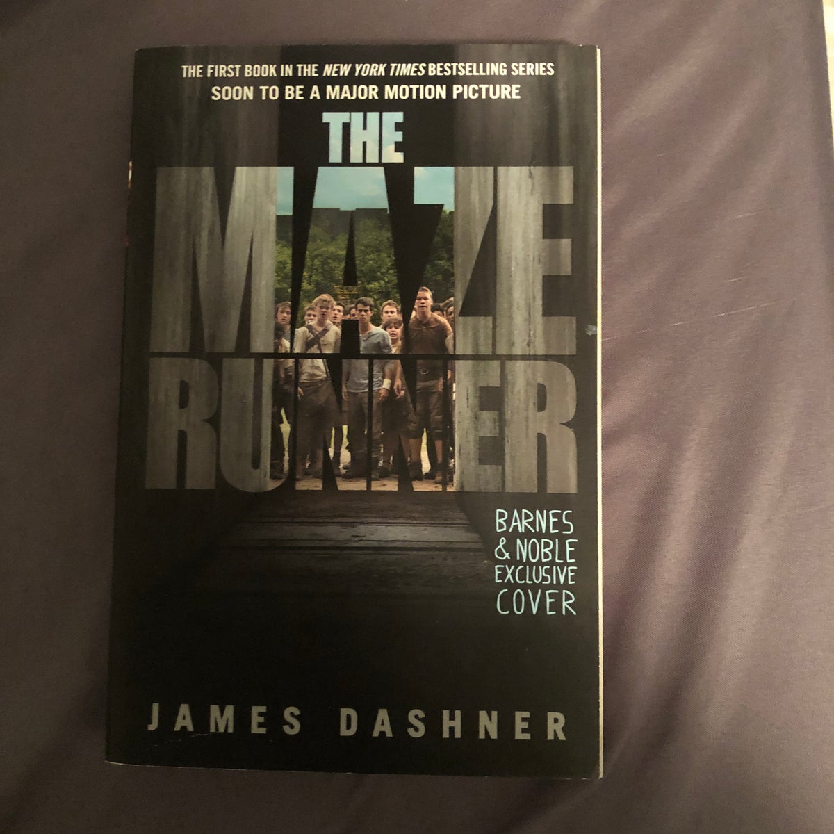 The Maze Runner by James Dashner, Paperback | Pangobooks