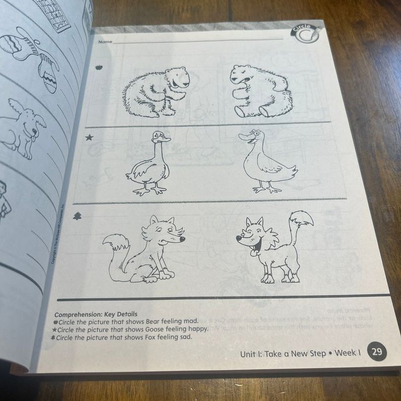 Reading Wonders, Grade K, Your Turn Practice Book by McGraw Hill