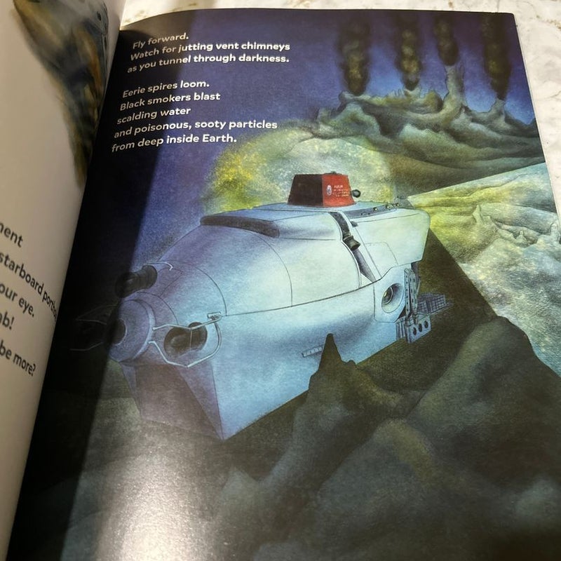 Flying Deep by Michelle Cusolito