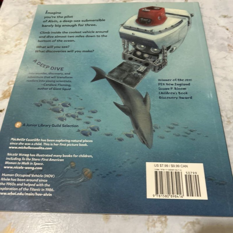 Flying Deep by Michelle Cusolito