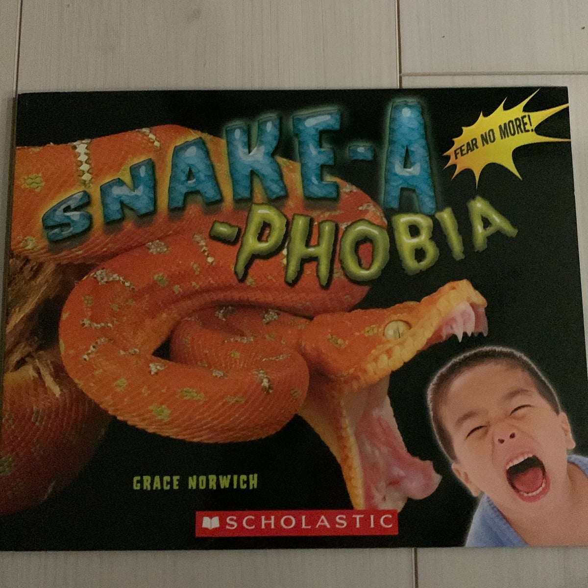Snake-A-Phobia by Grace Norwich