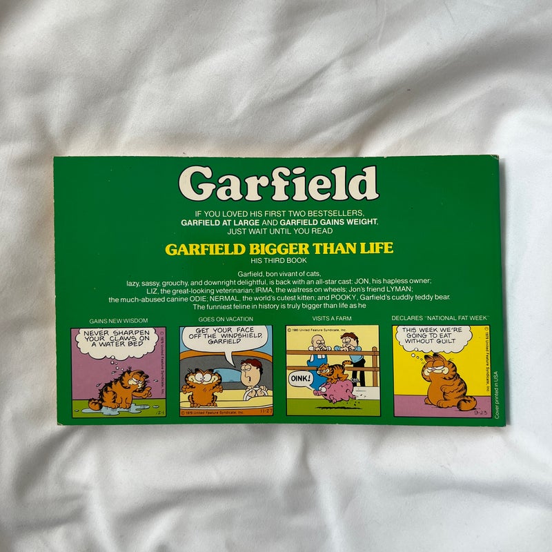 Garfield Bigger Than Life