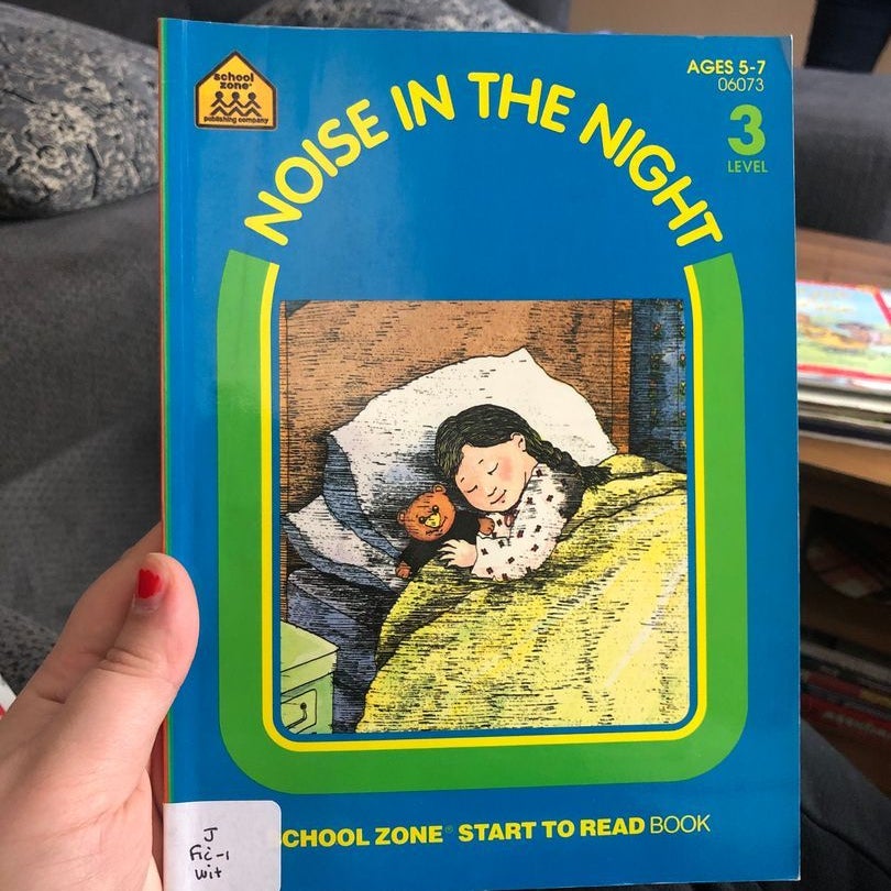 Noise in the Night by Barbara Gregorich, Bruce Witty