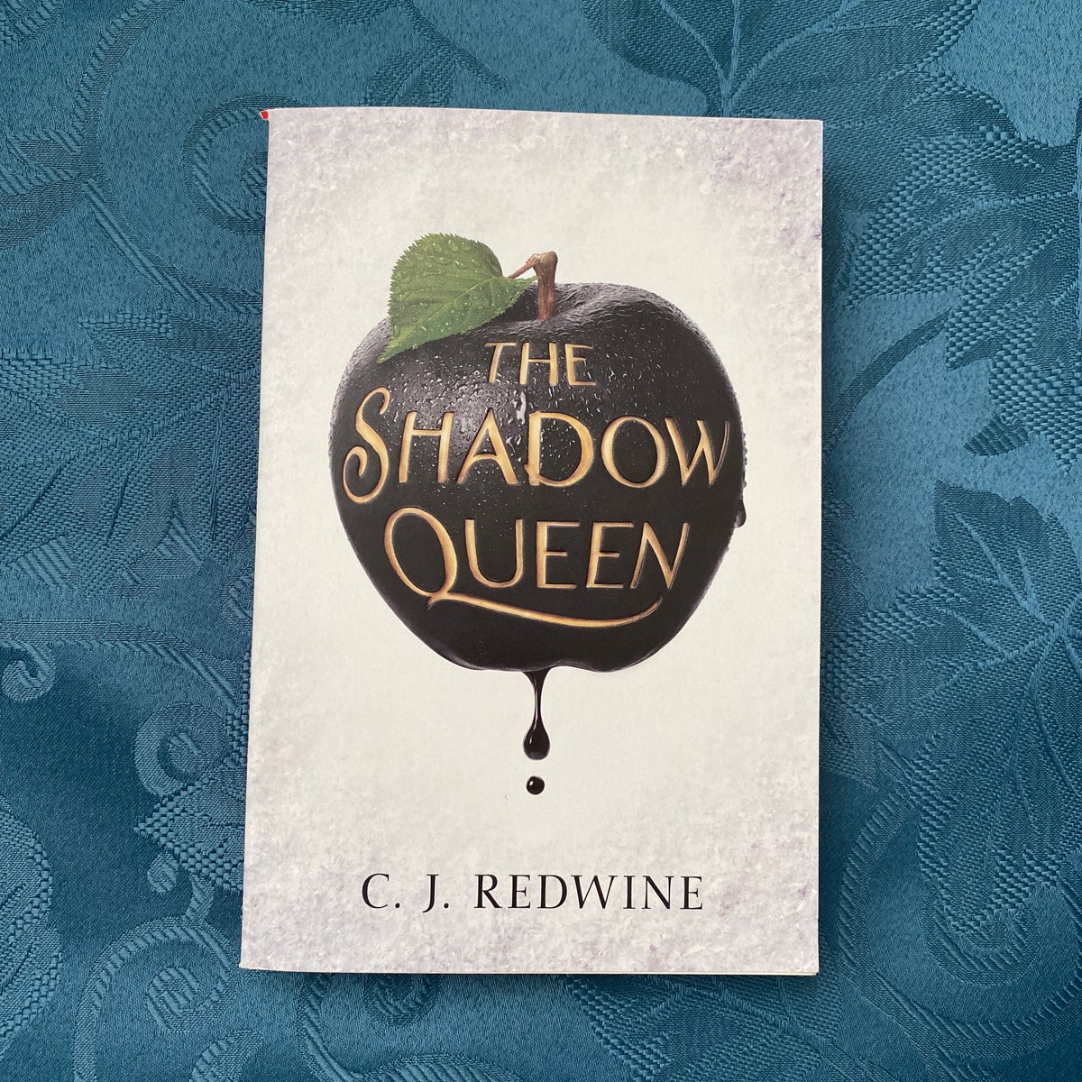 The Shadow Queen by C. J. Redwine , Paperback | Pangobooks