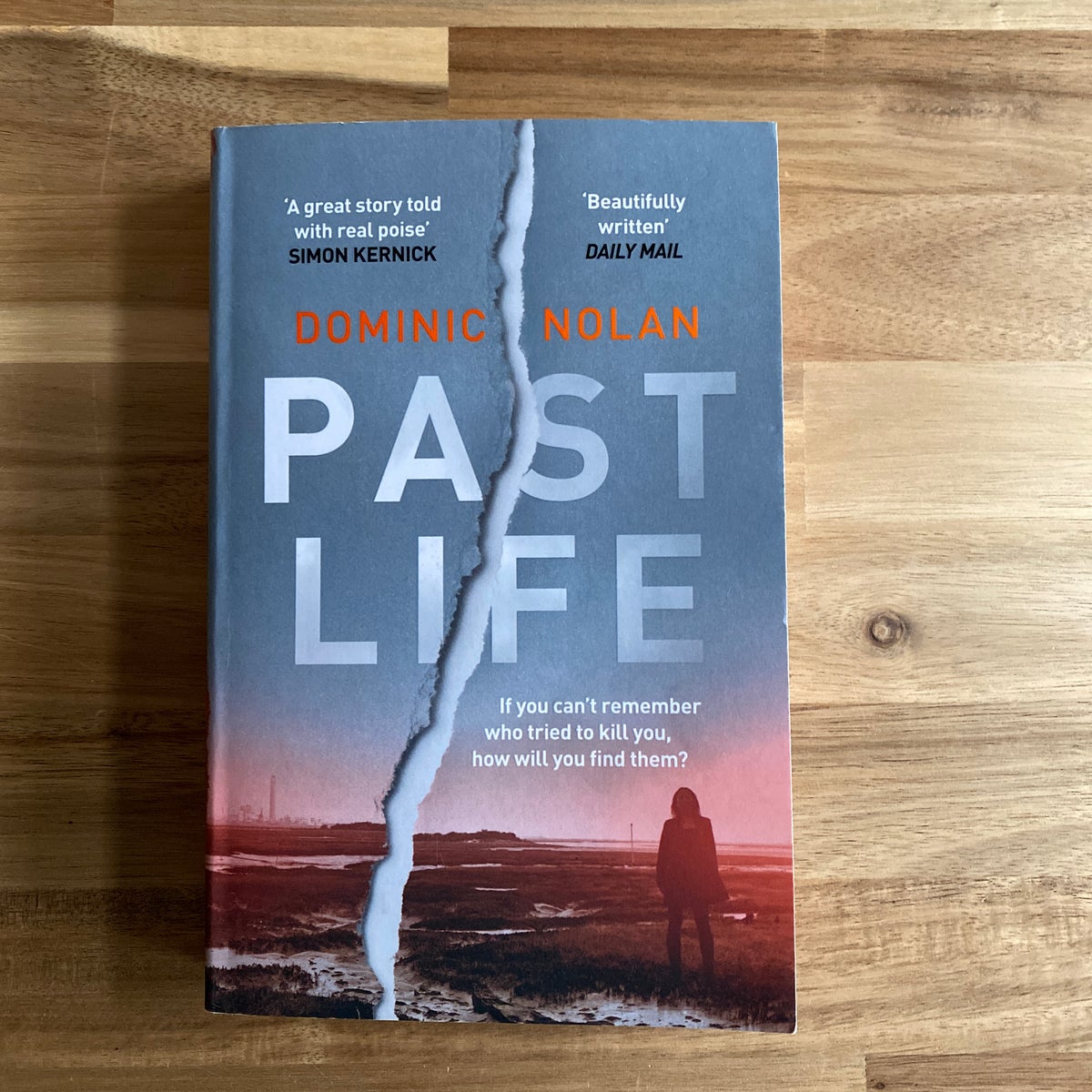 Past Life by Dominic Nolan, Paperback | Pangobooks