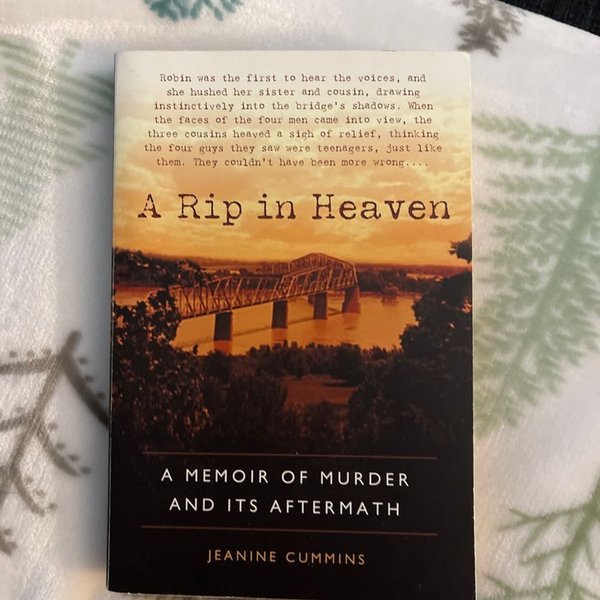 A Rip in Heaven by Jeanine Cummins