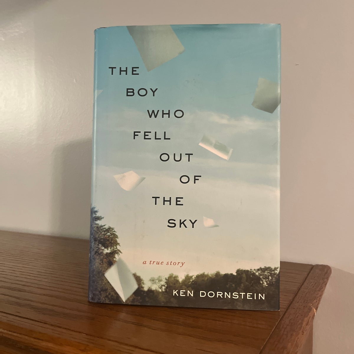 The Boy Who Fell Out of the Sky by Ken Dornstein, Hardcover | Pangobooks