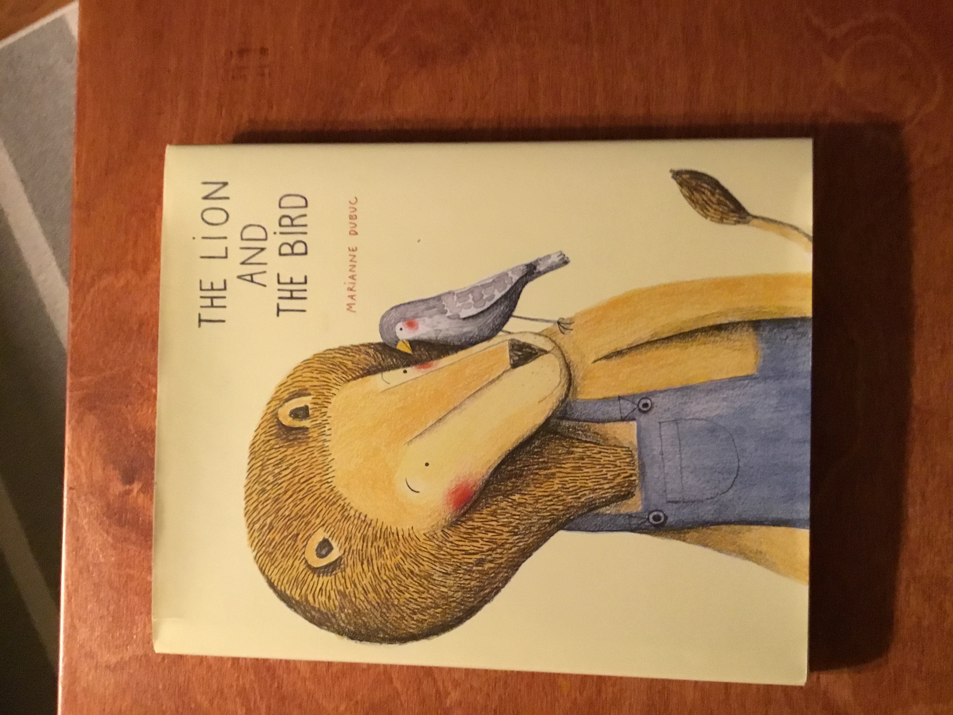 The Lion and the Bird by Marianne Dubuc