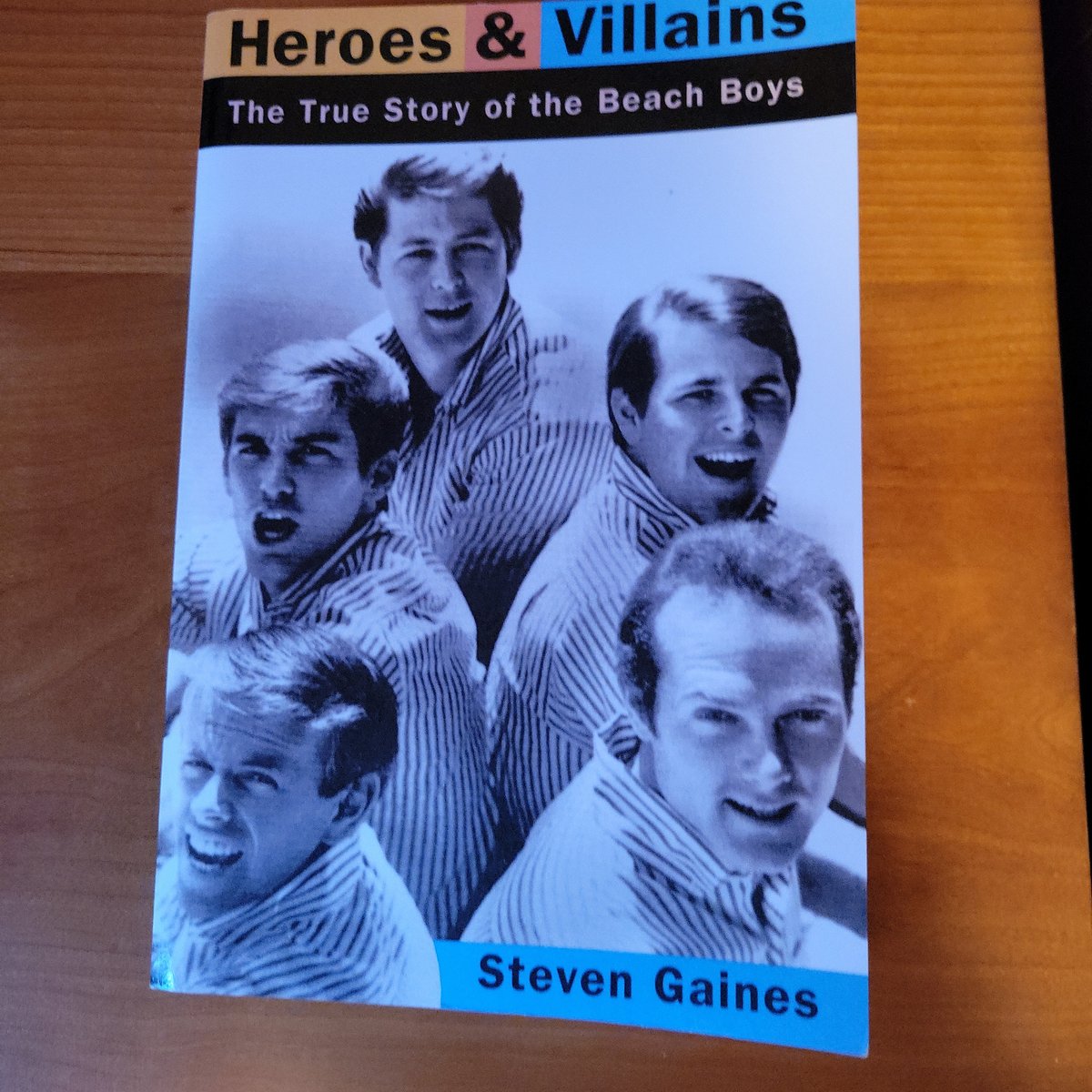 Heroes and Villains by Steven Gaines