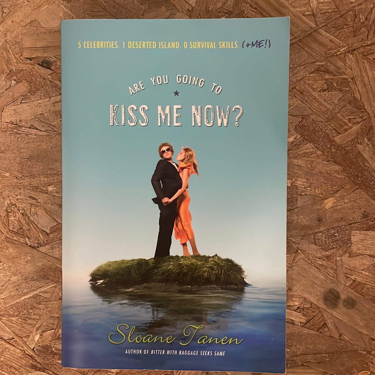 Are You Going to Kiss Me Now? by Sloane Tanen