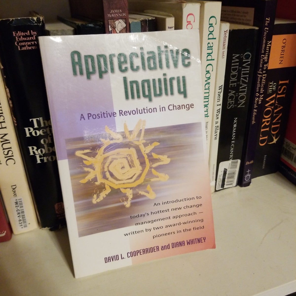 Appreciative Inquiry by David L. Cooperrider, Diana Whitney