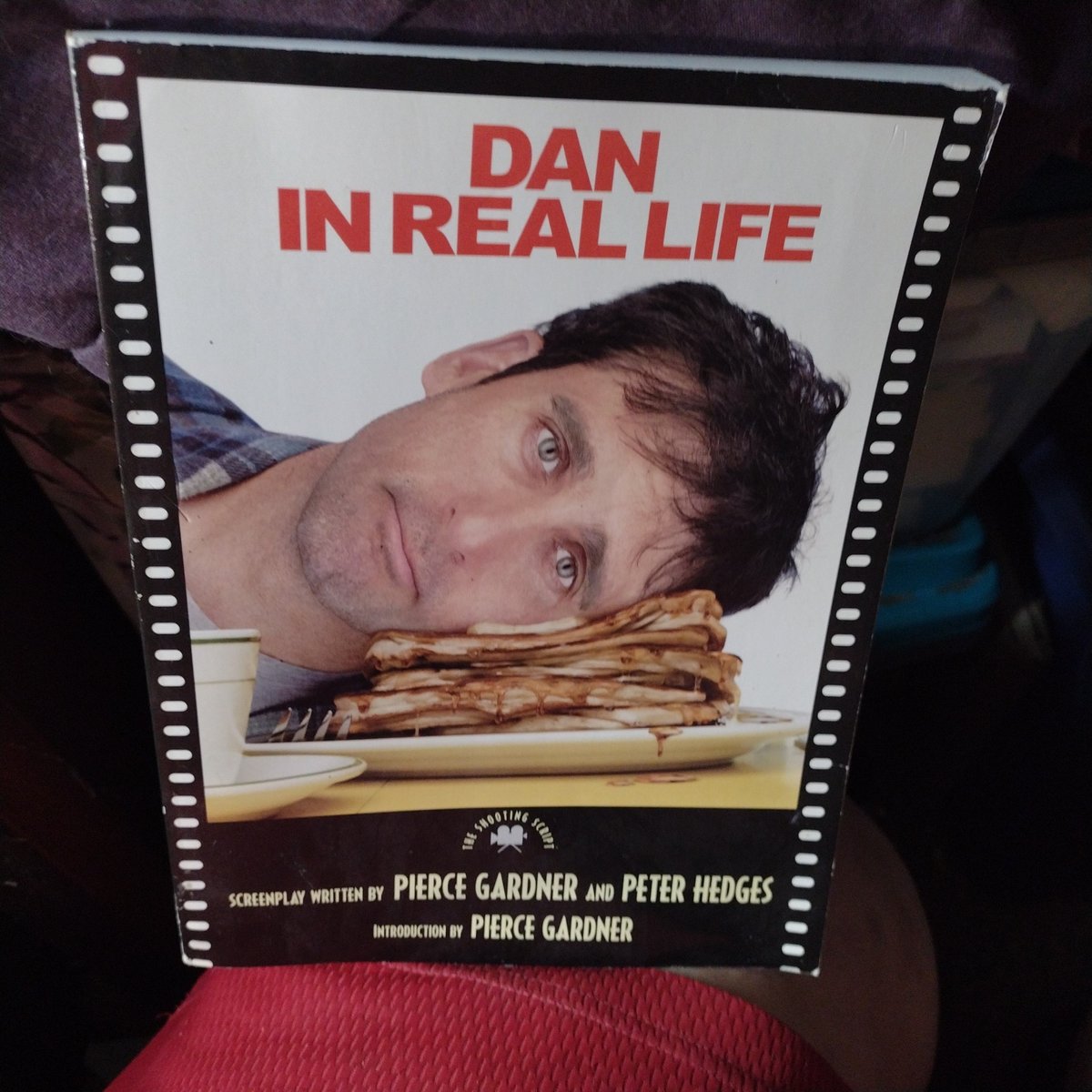 Dan in Real Life by Pierce Gardner, Peter Hedges
