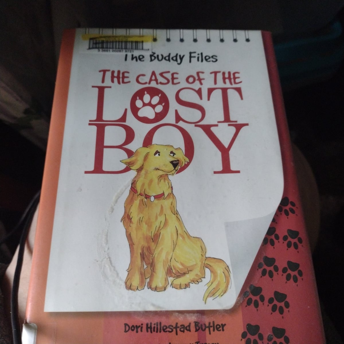The Case of the Lost Boy by Dori Hillestad Butler