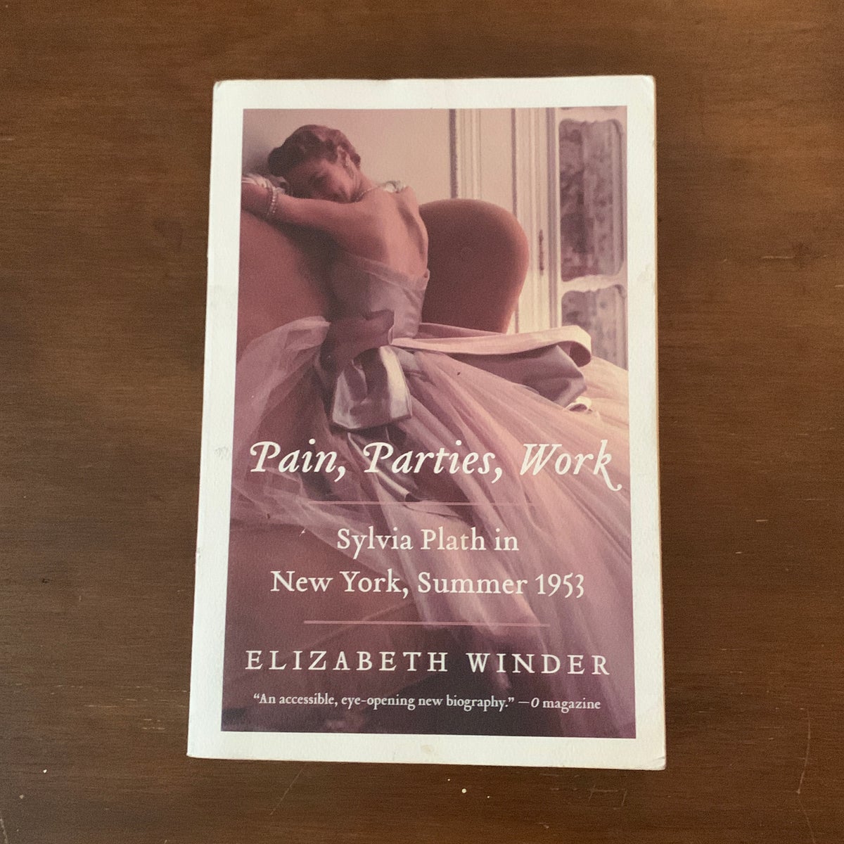 Pain, Parties, Work by Elizabeth Winder