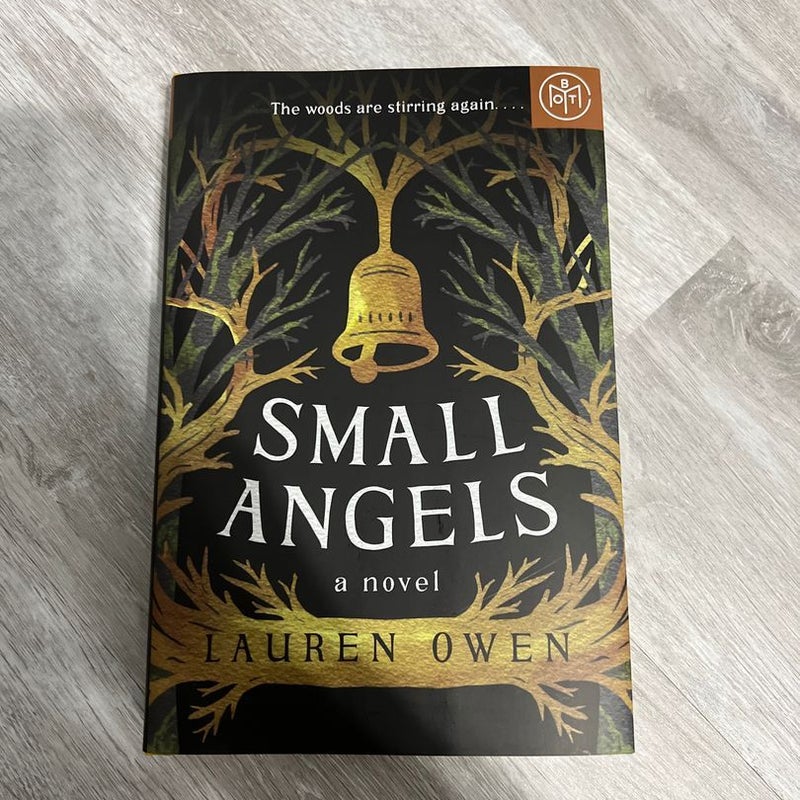 Small Angels by Lauren Owen, Hardcover | Pangobooks