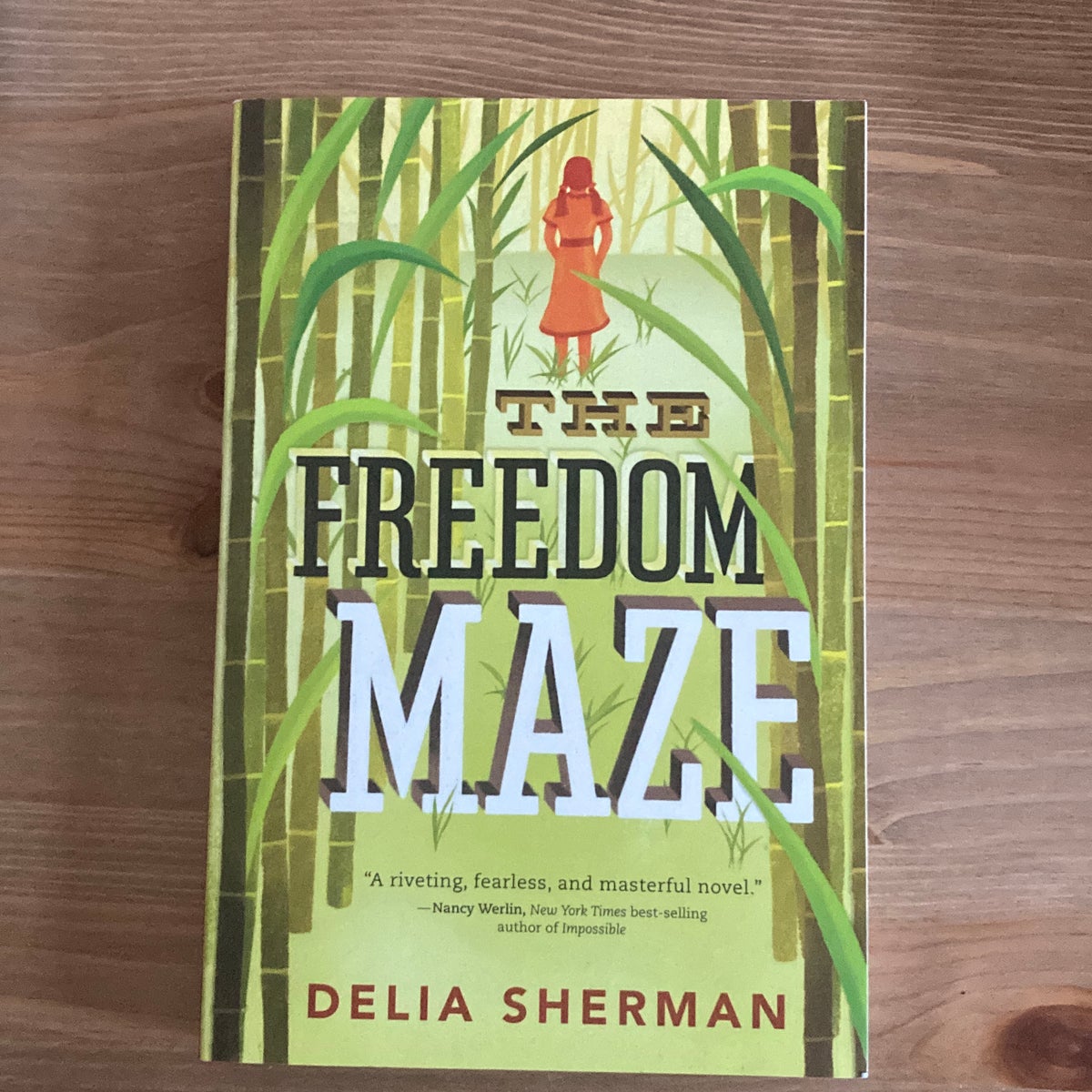 The Freedom Maze by Delia Sherman
