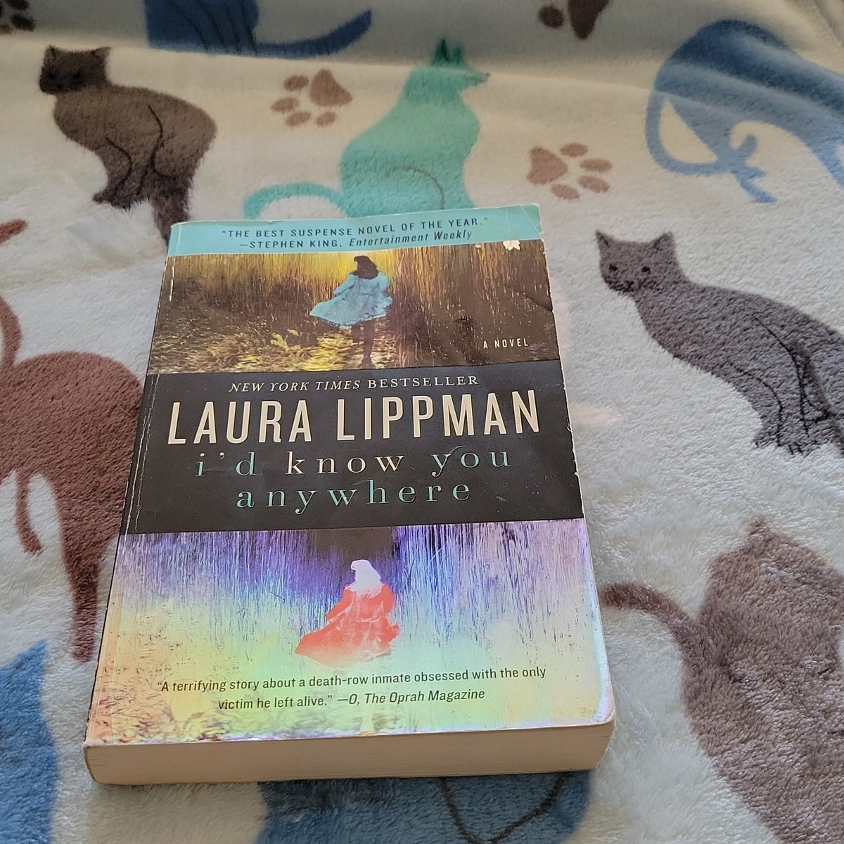 I'd Know You Anywhere by Laura Lippman, Paperback | Pangobooks