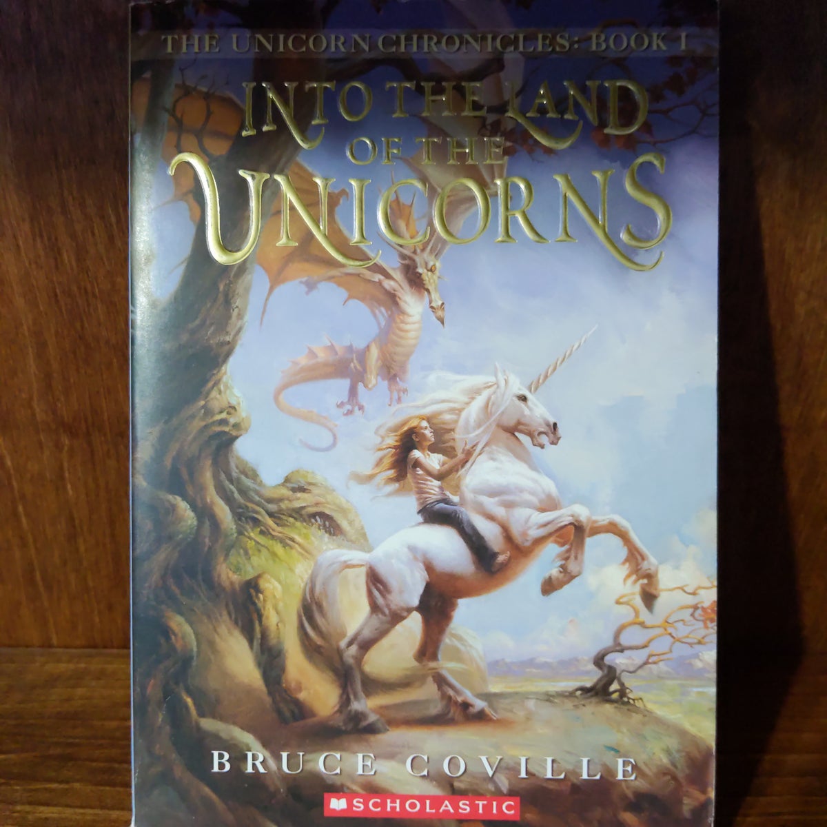Into the Land of the Unicorns