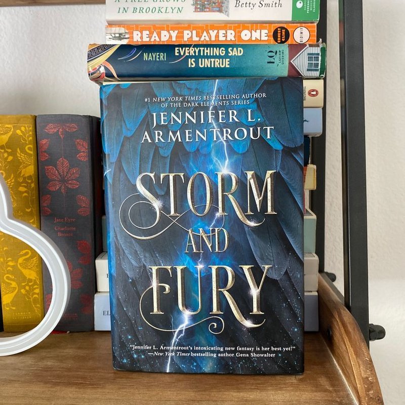 Storm and Fury by Jennifer L. Armentrout