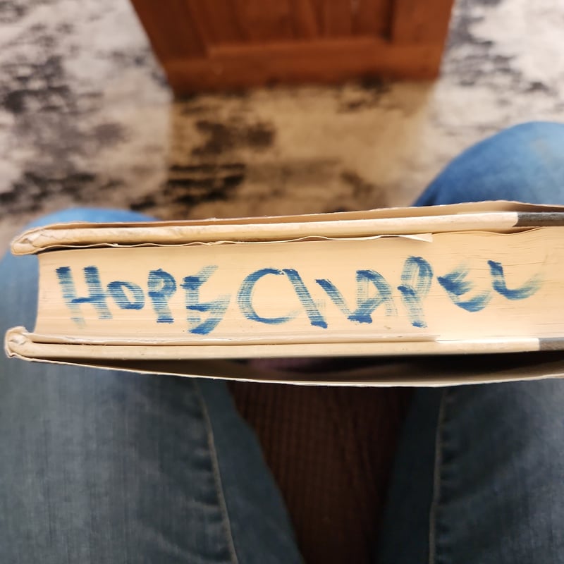 A Hope in the Unseen by Ron Suskind