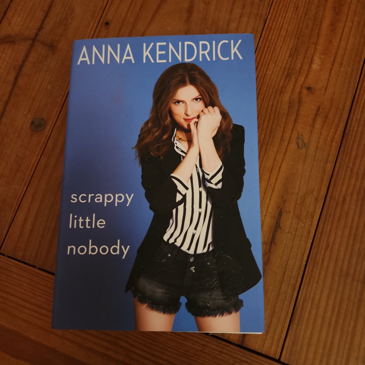 Scrappy Little Nobody by Anna Kendrick