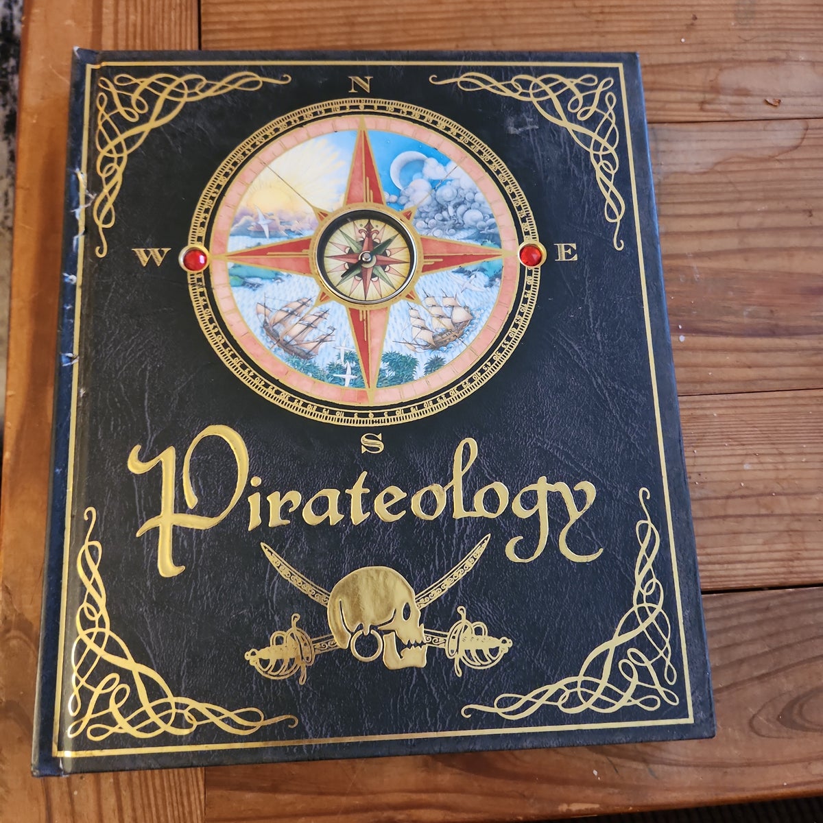 Pirateology by William Lubber