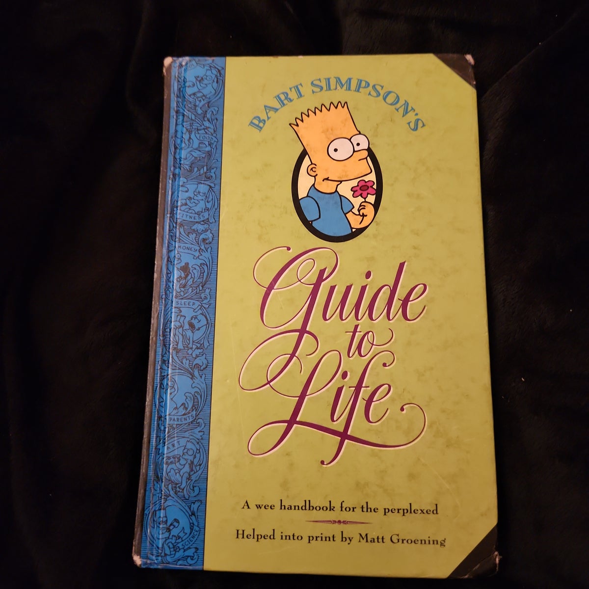 Bart Simpson's Guide to Life by Matt Groening