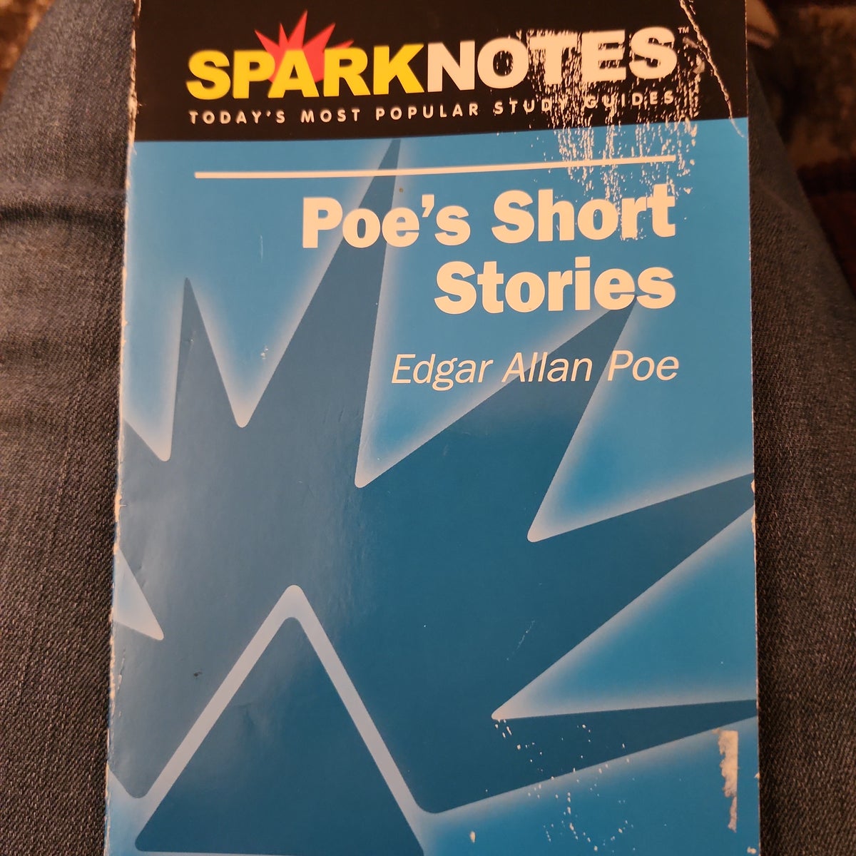 Poe's Short Stories by Edgar Poe
