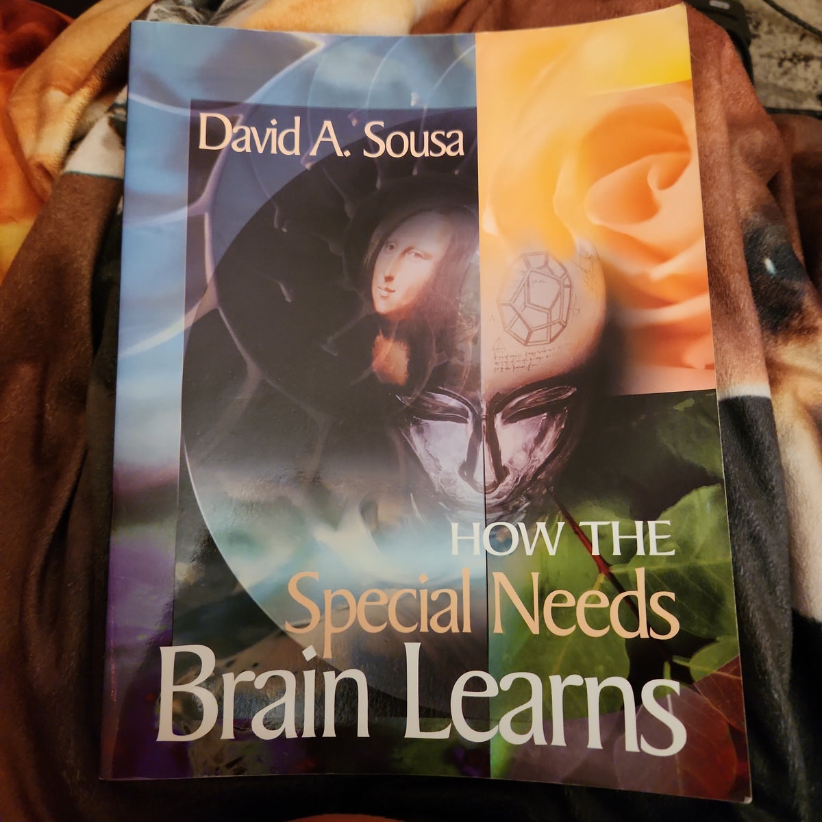 How the Special Needs Brain Learns by David A. Sousa