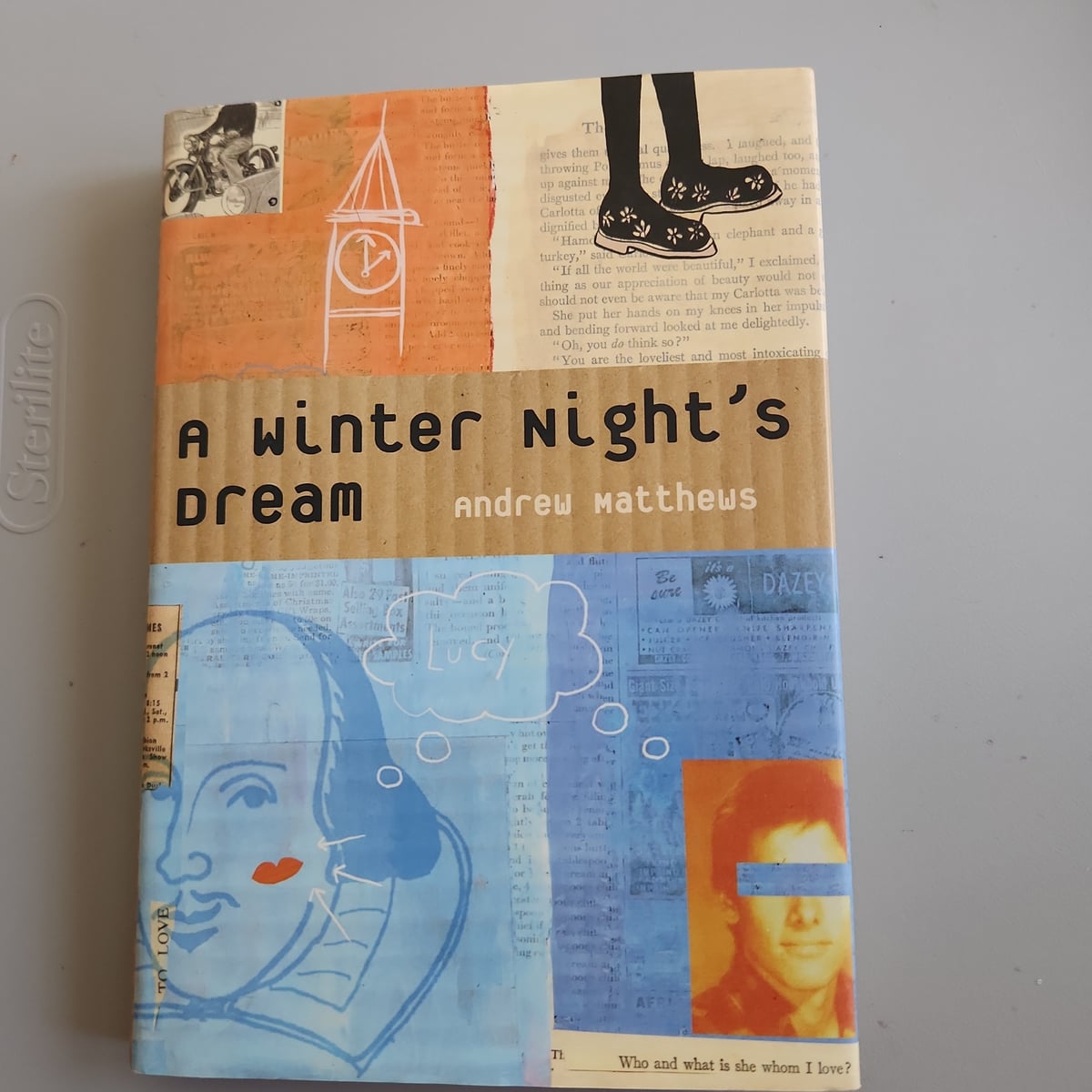 A Winter Night's Dream by Andrew Matthews