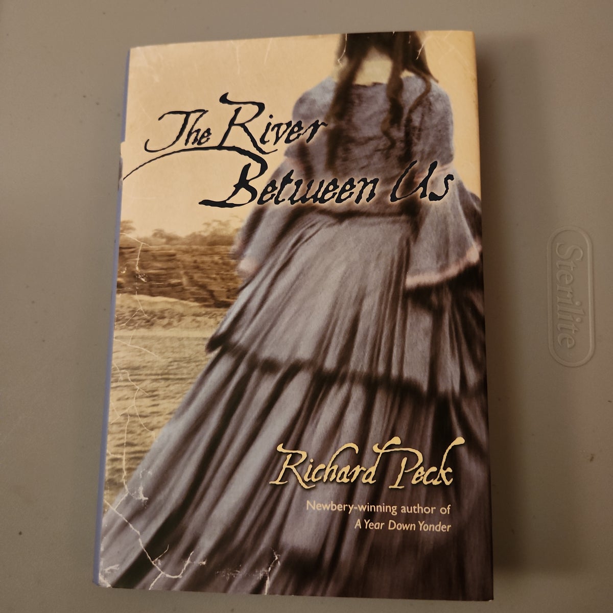 The River Between Us by Richard Peck