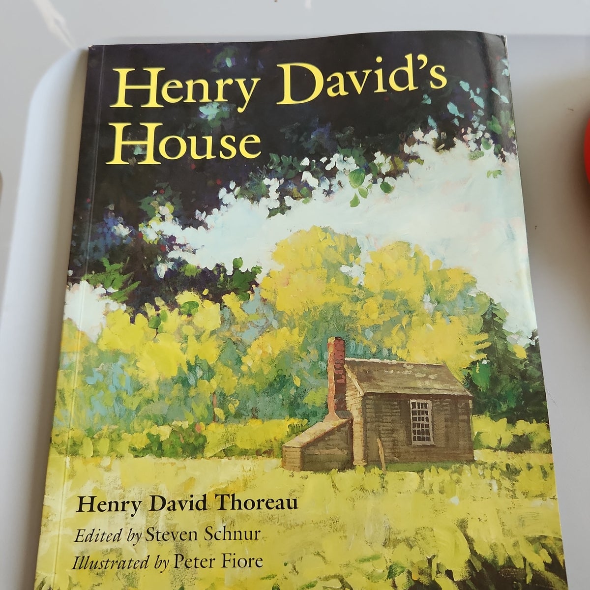 Henry David's House by Steven Schnur