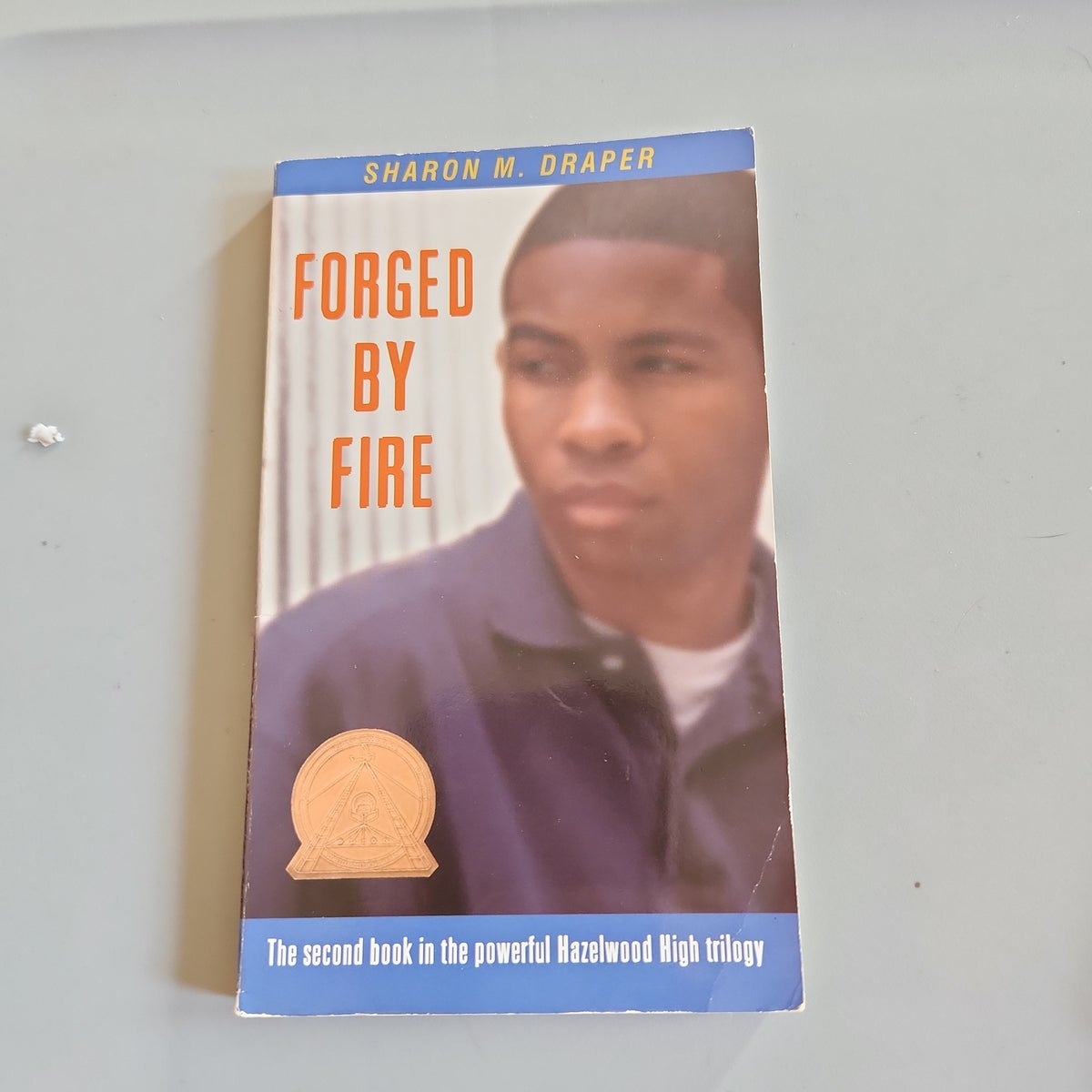 Forged by Fire by Sharon M. Draper