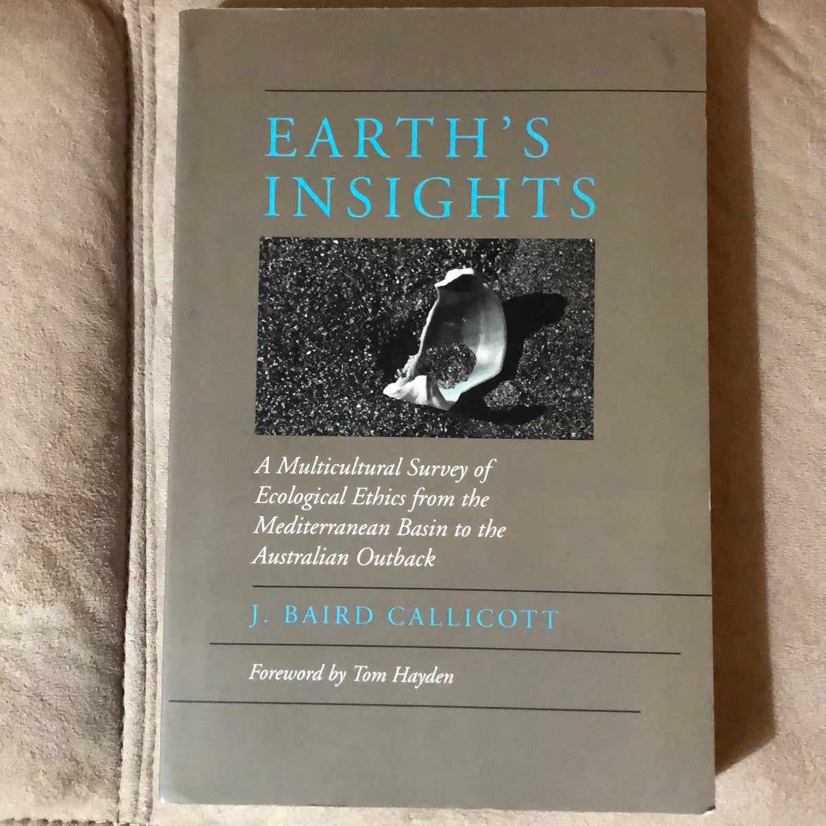 Earth's Insights by J. Baird Callicott