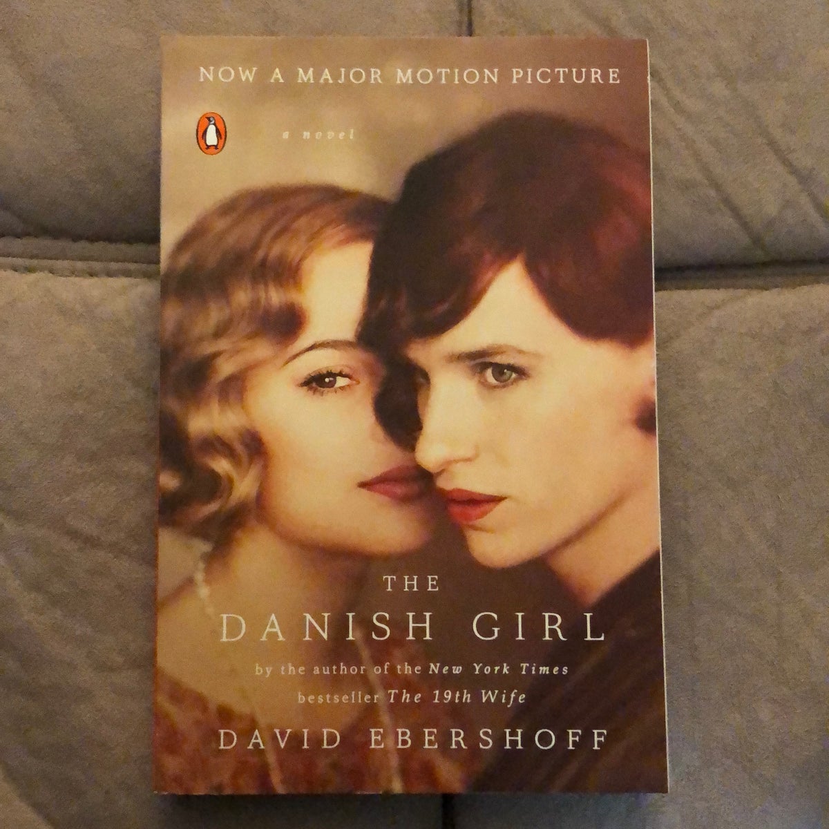 The Danish Girl by David Ebershoff