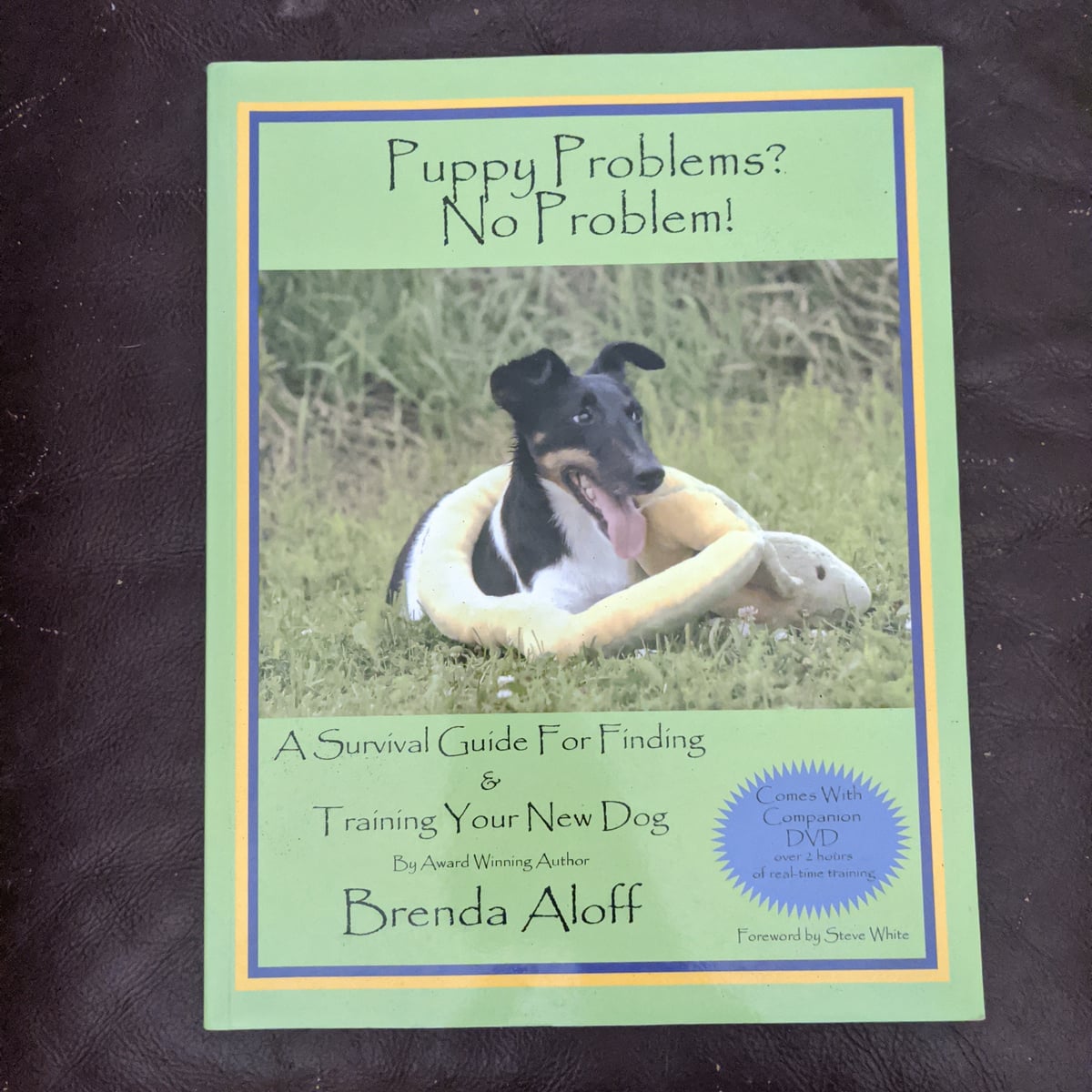 Puppy Problems? No Problem! by Brenda Aloff