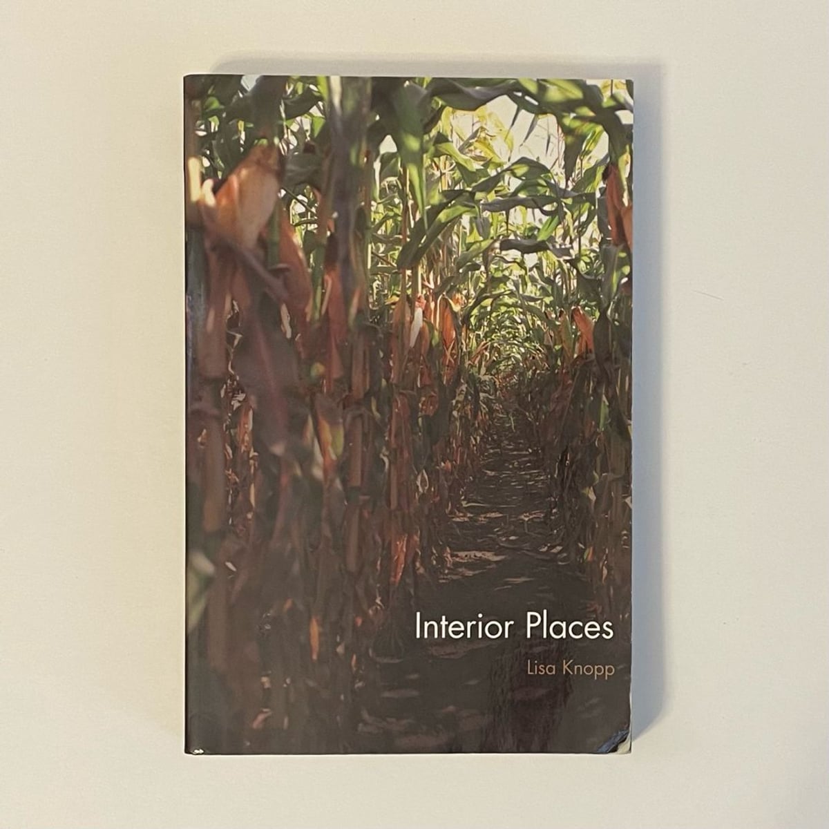Interior Places by Lisa Knopp