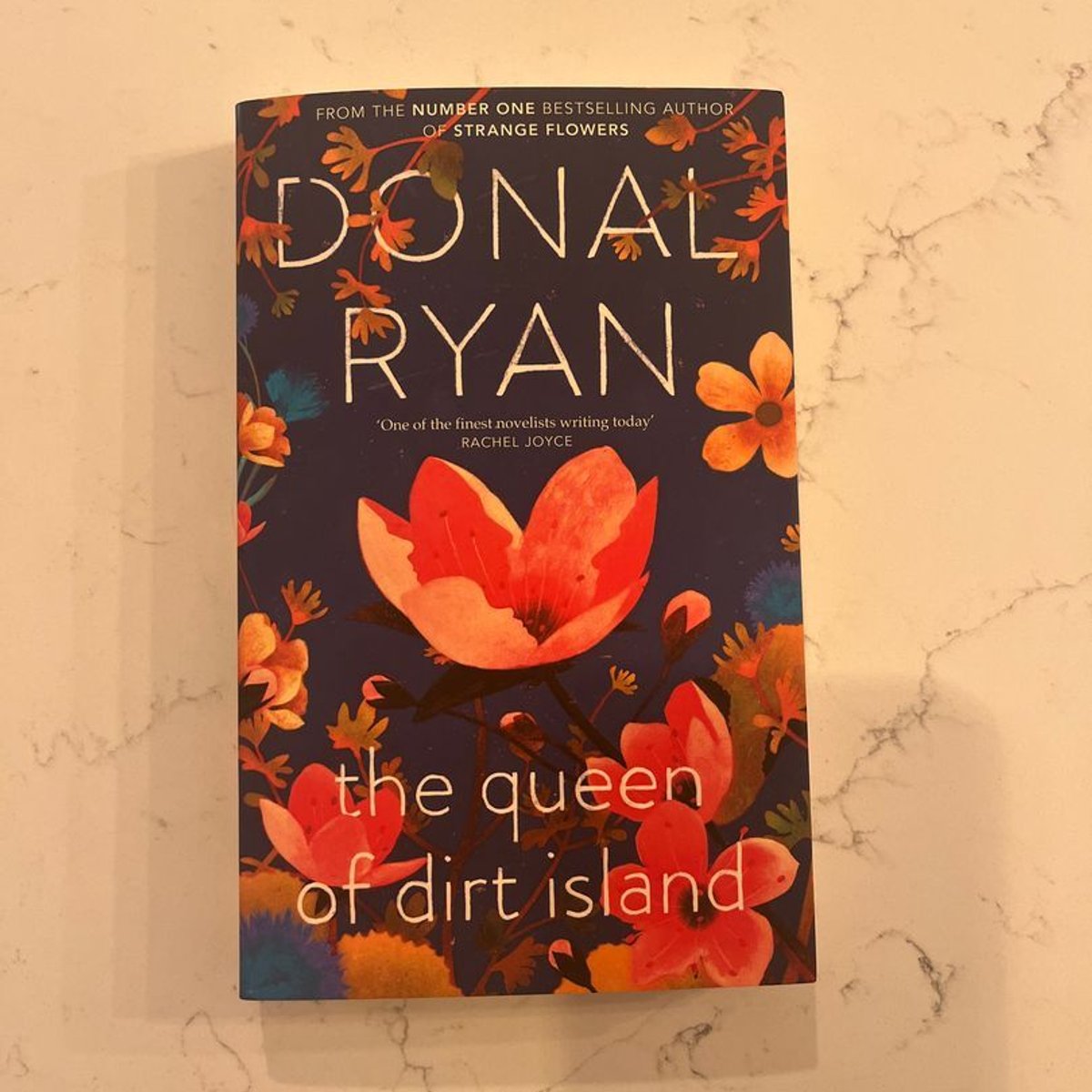 The Queen of Dirt Island by Donal Ryan