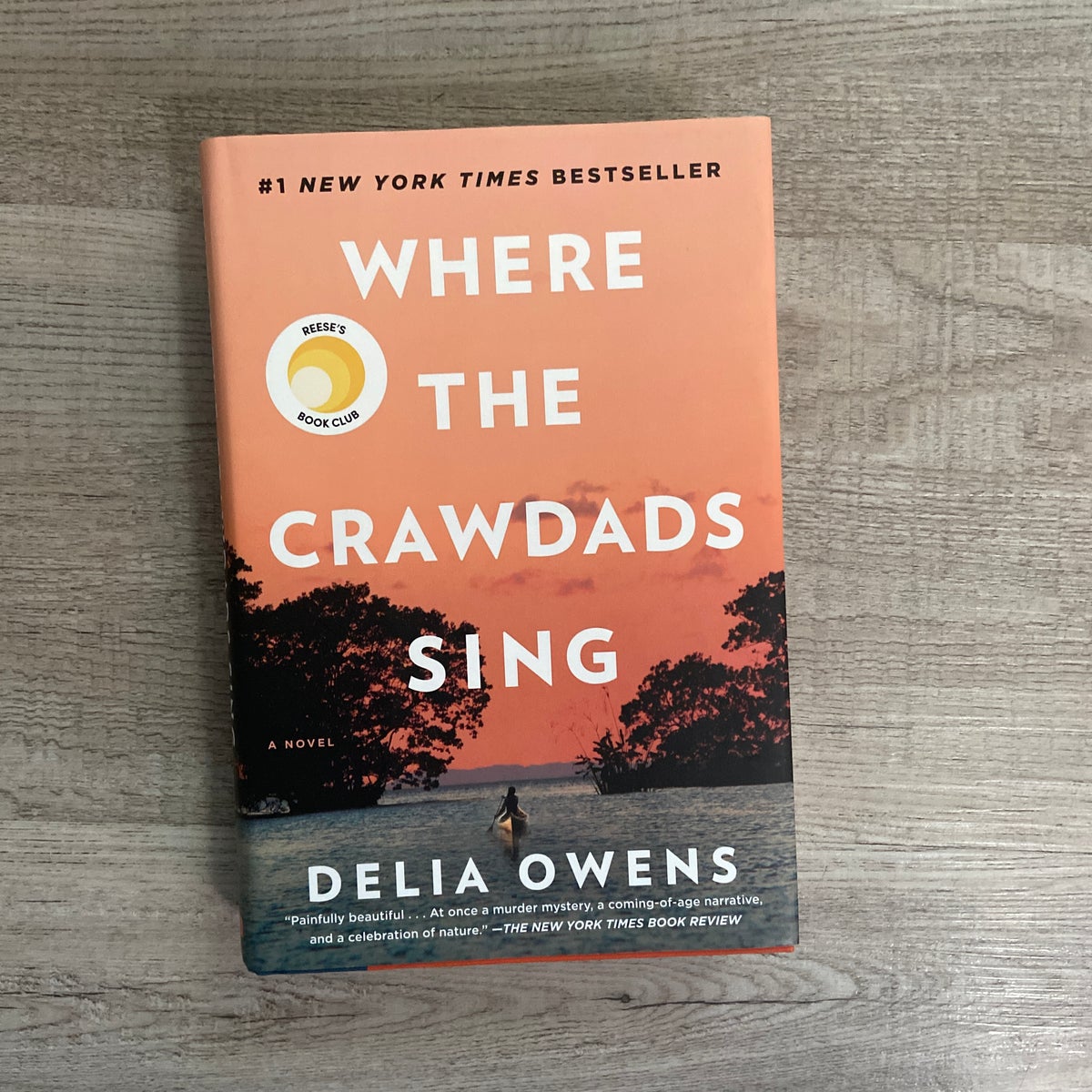 Where the Crawdads Sing