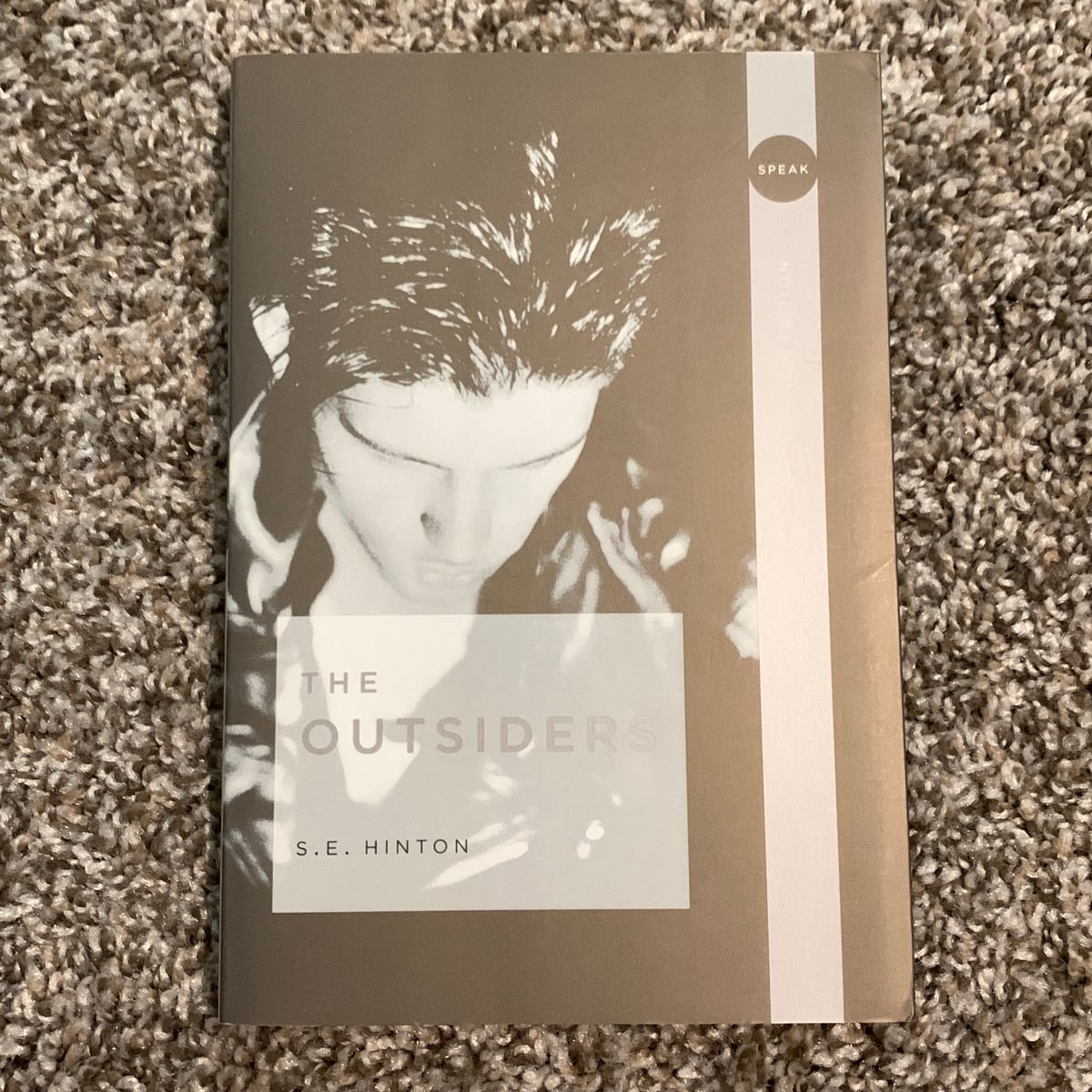 The Outsiders by S. E. Hinton, Paperback | Pangobooks