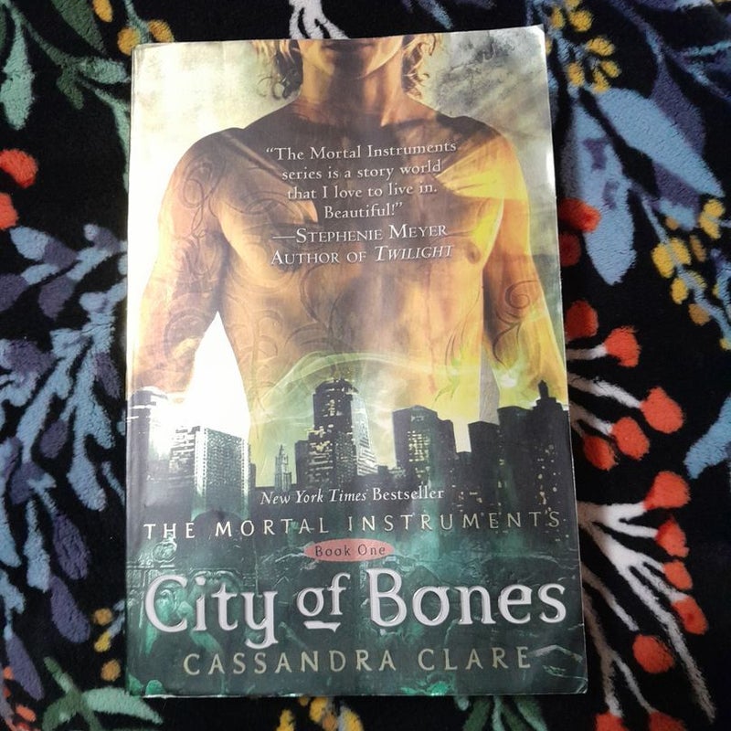 The Mortal Instruments by Cassandra Clare, Hardcover | Pangobooks