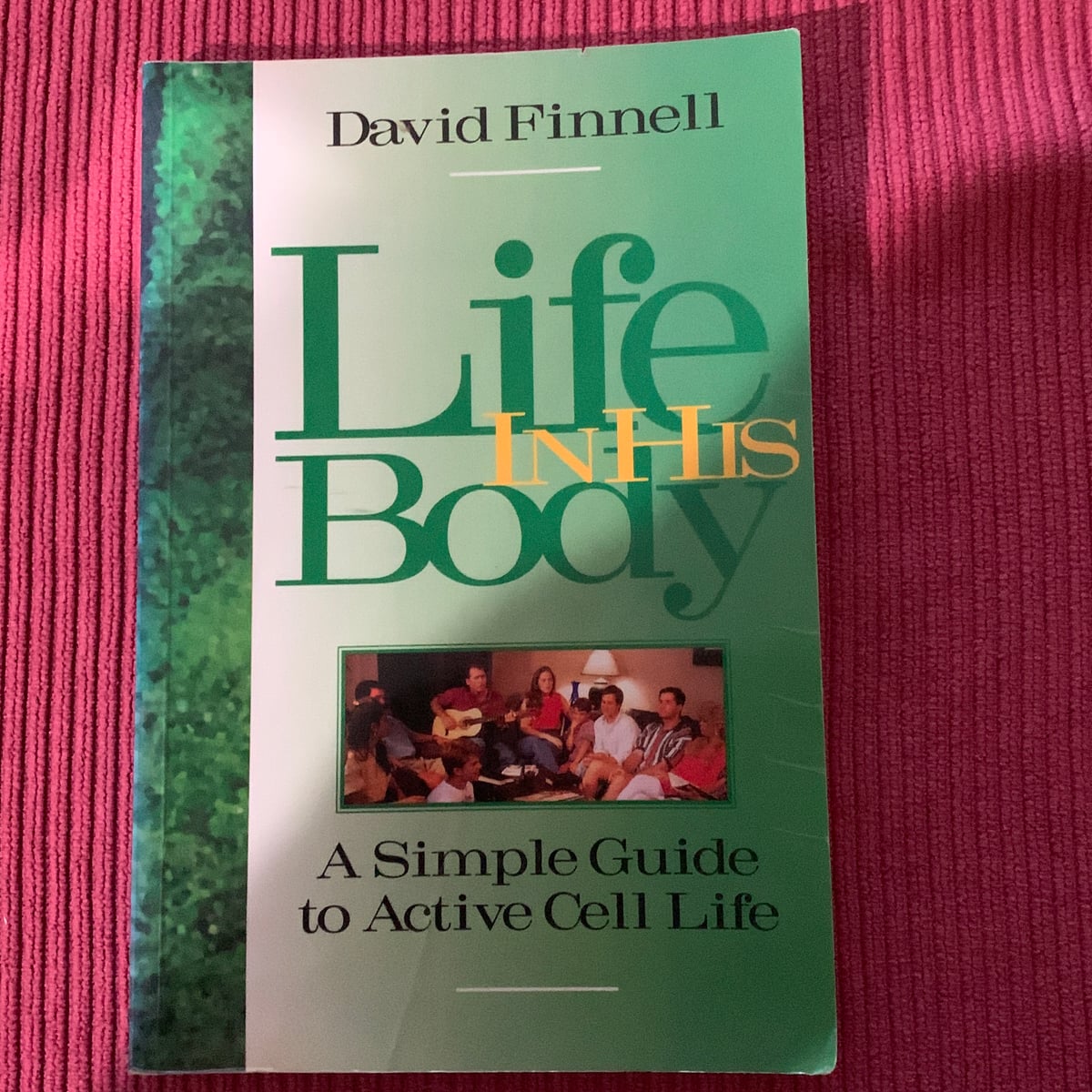 Life in His Body by David Finnell