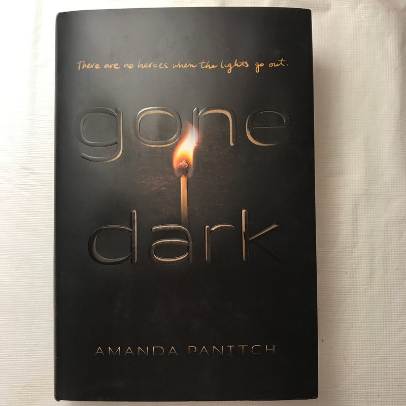 Gone Dark by Amanda Panitch