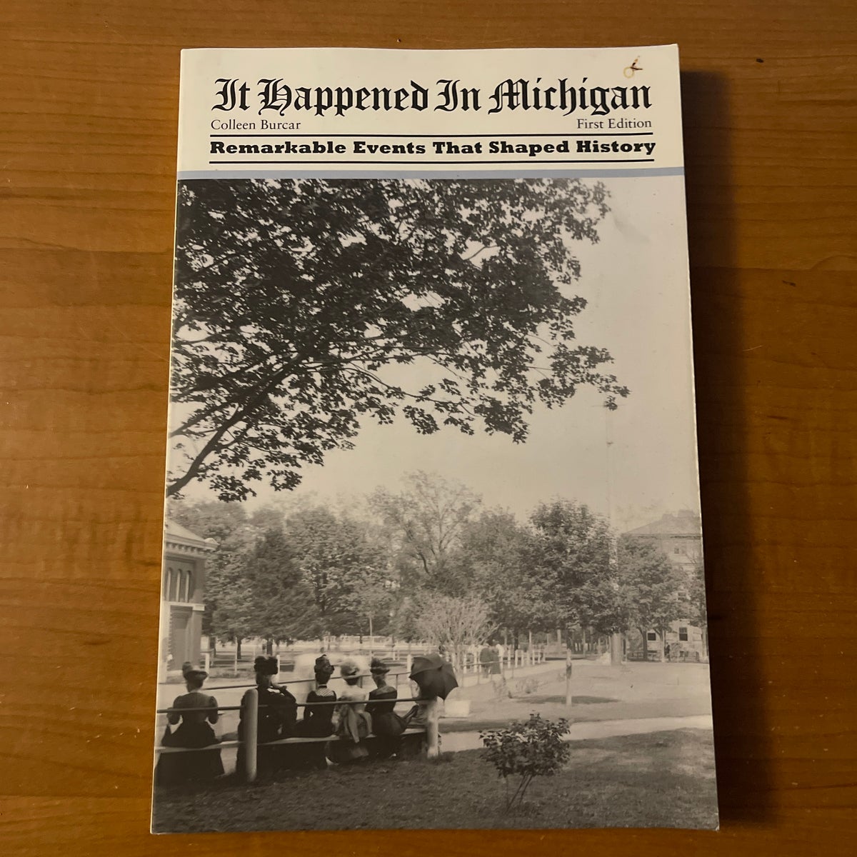 It Happened in Michigan by Colleen Burcar