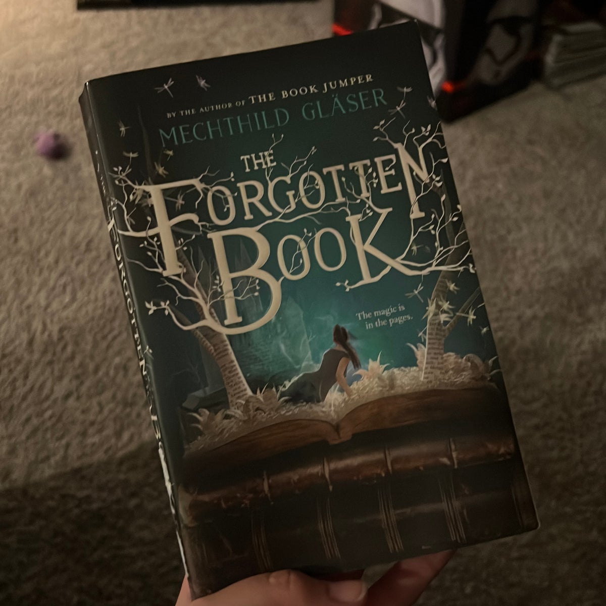 The Forgotten Book by Mechthild Glaser, Paperback | Pangobooks