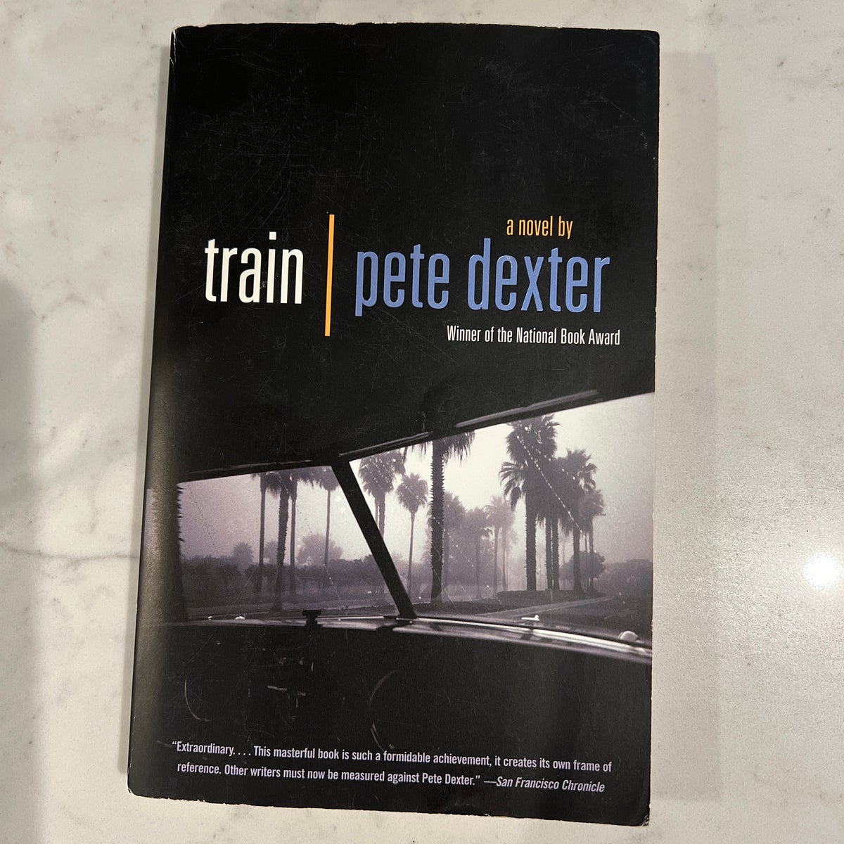Train by Pete Dexter