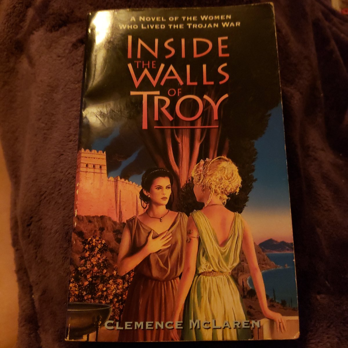 Inside the Walls of Troy by Clemence McLaren, Paperback | Pangobooks