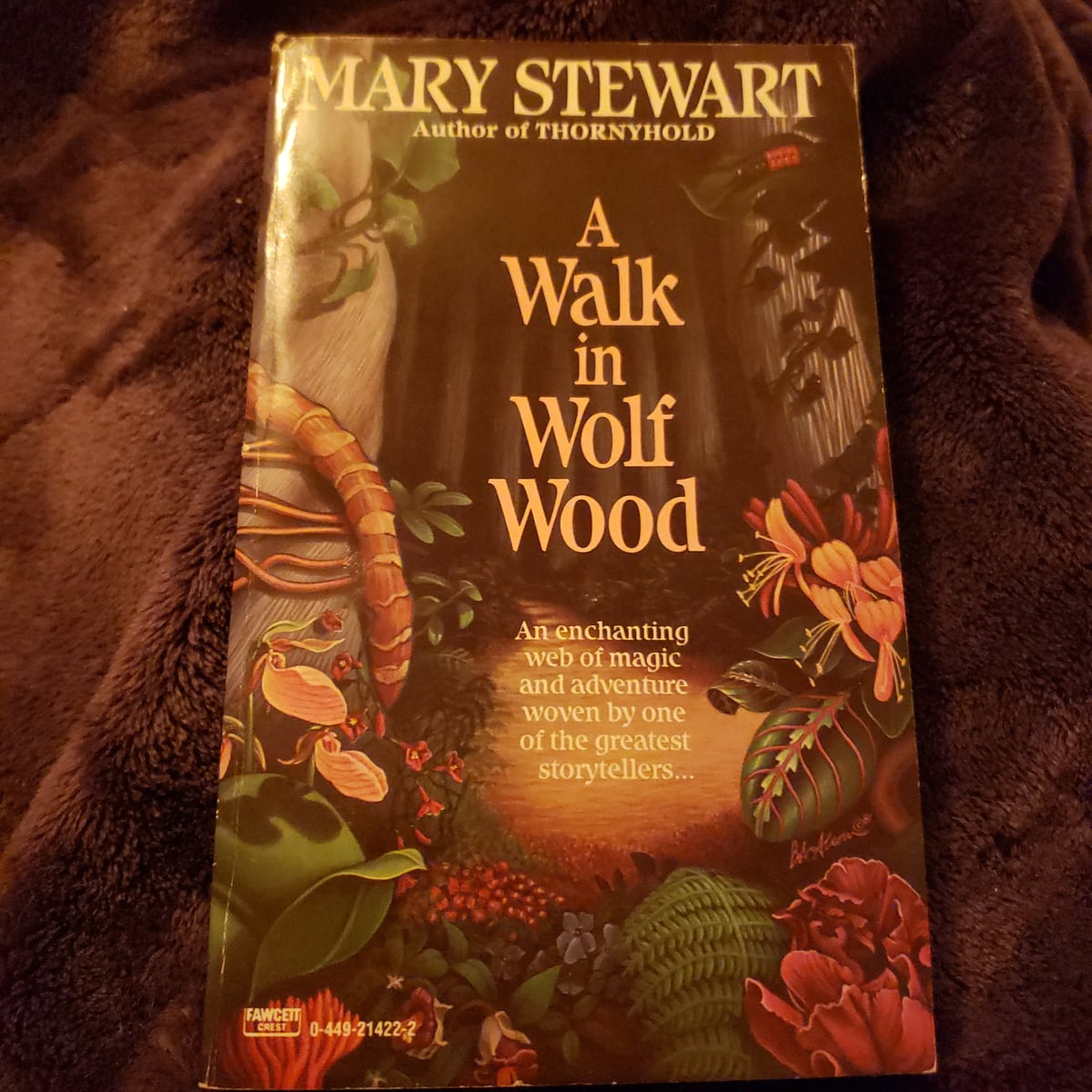 A Walk in Wolf Wood by Mary Stewart