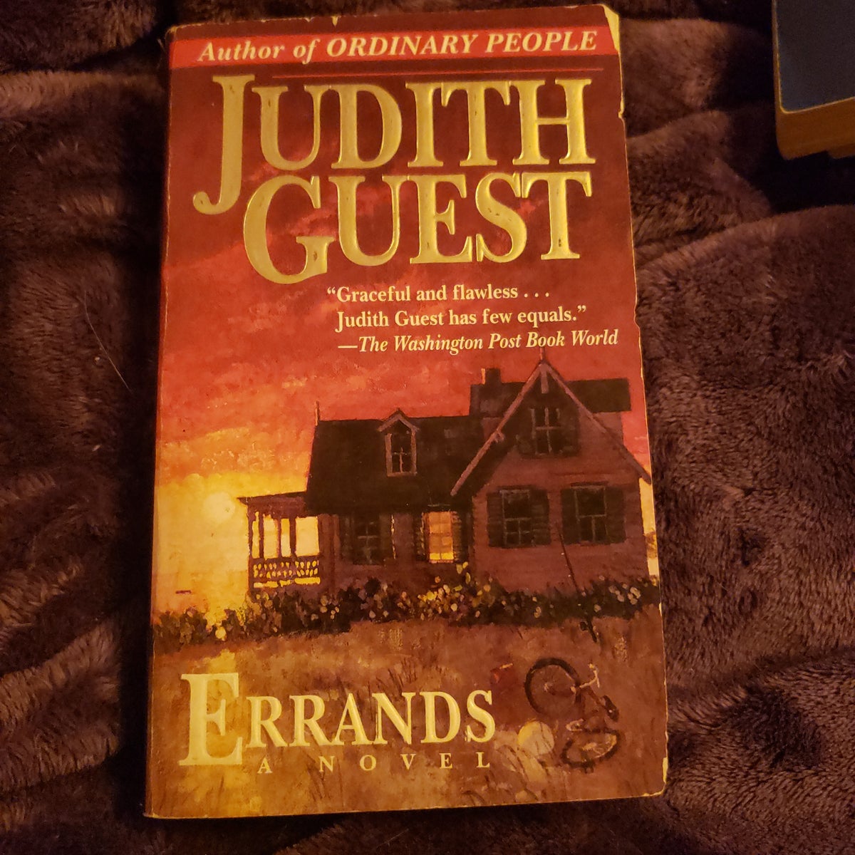 Errands by Judith Guest, Paperback | Pangobooks